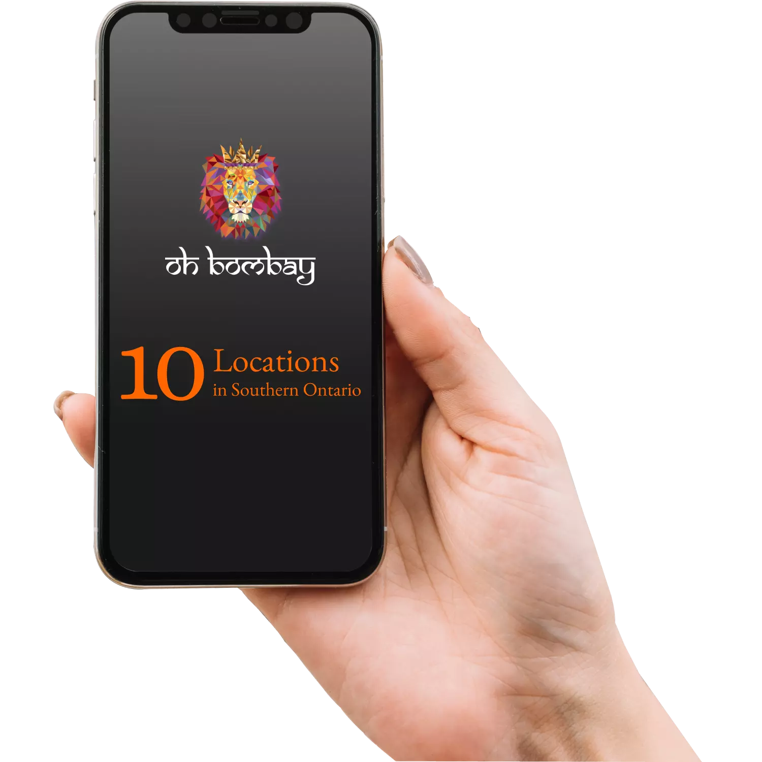 Oh Bombay Waterloo | #1 Best Indian & Hakka Restaurant